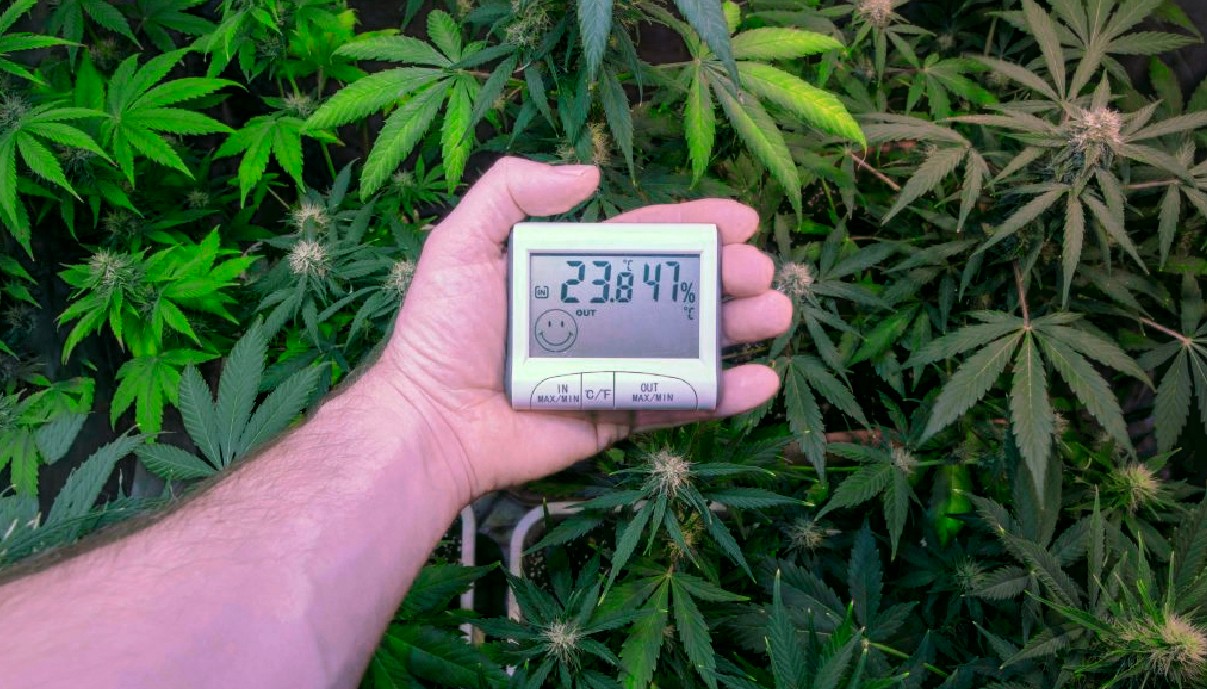 Tools required for calculating humidity and temperature while growing ...